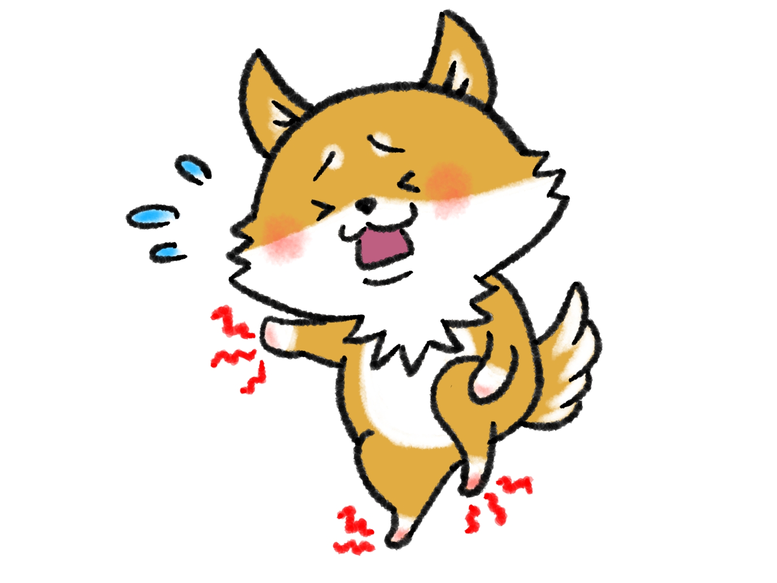 インフォームドコンセント用：体重別TPLO症例まとめページ | 千葉県佐倉市のしらい動物病院